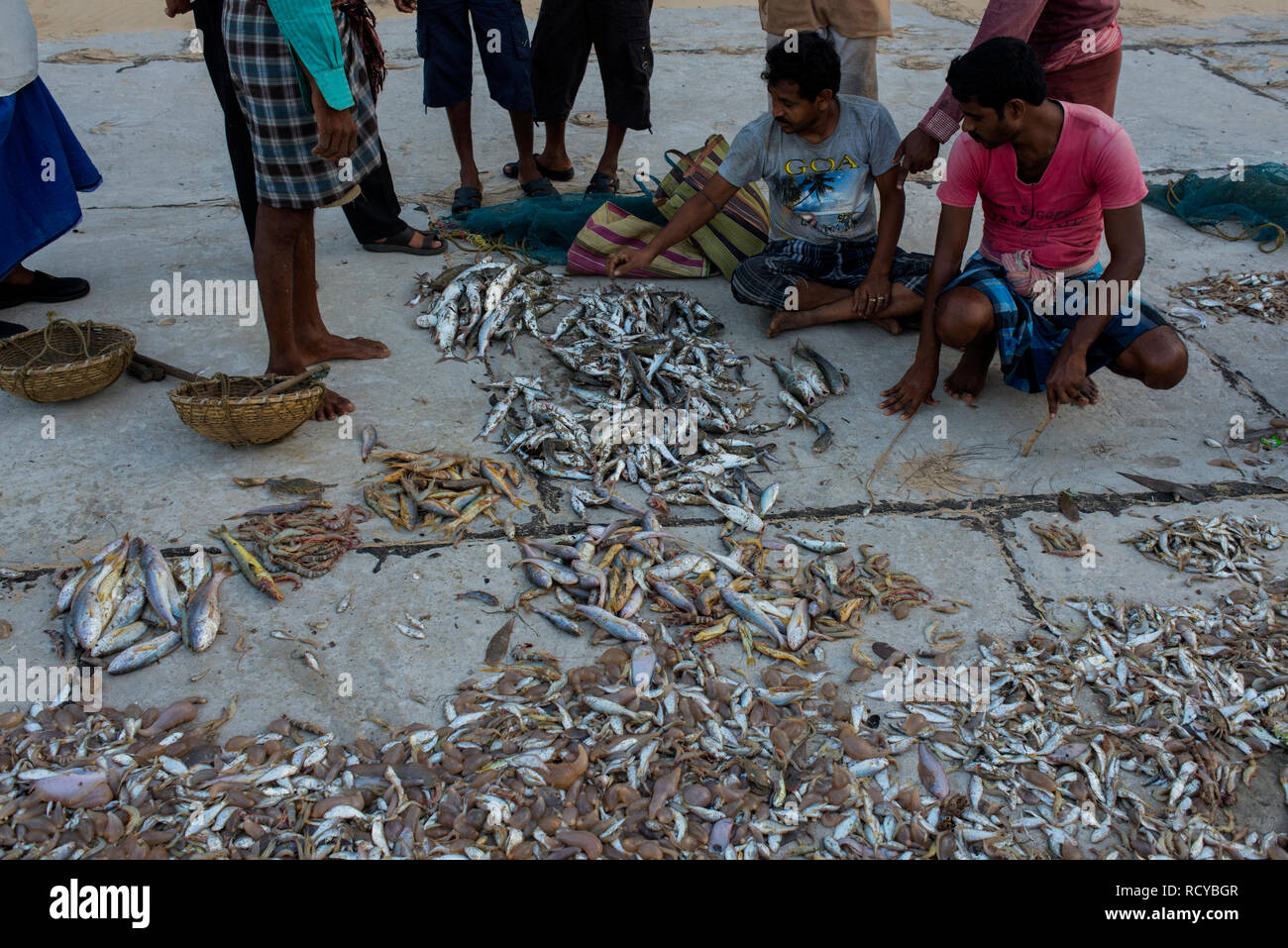 New digha sea beach hi-res stock photography and images - Alamy
