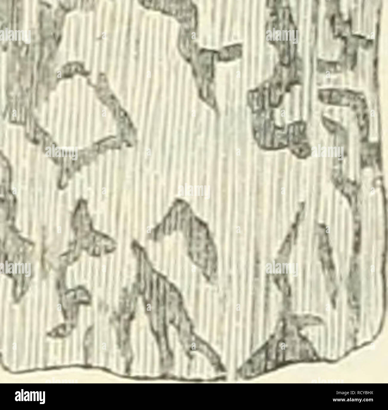 Ar rab hi-res stock photography and images - Alamy