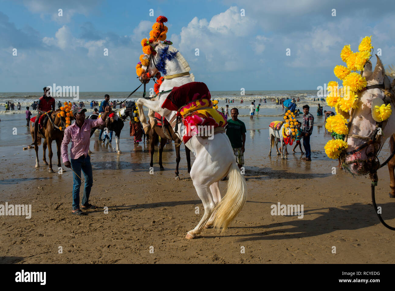 New digha hi-res stock photography and images - Alamy