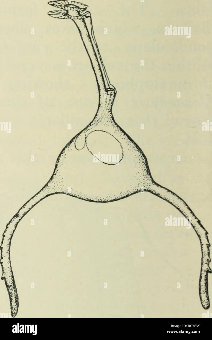 . The depths of the ocean; a general account of the modern science of ...