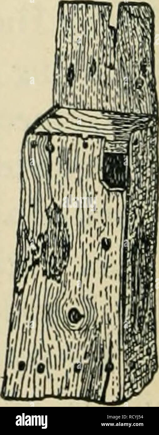 . Department circular. Agriculture. Fig. 9. â Gourd. S) â Jiingle ...