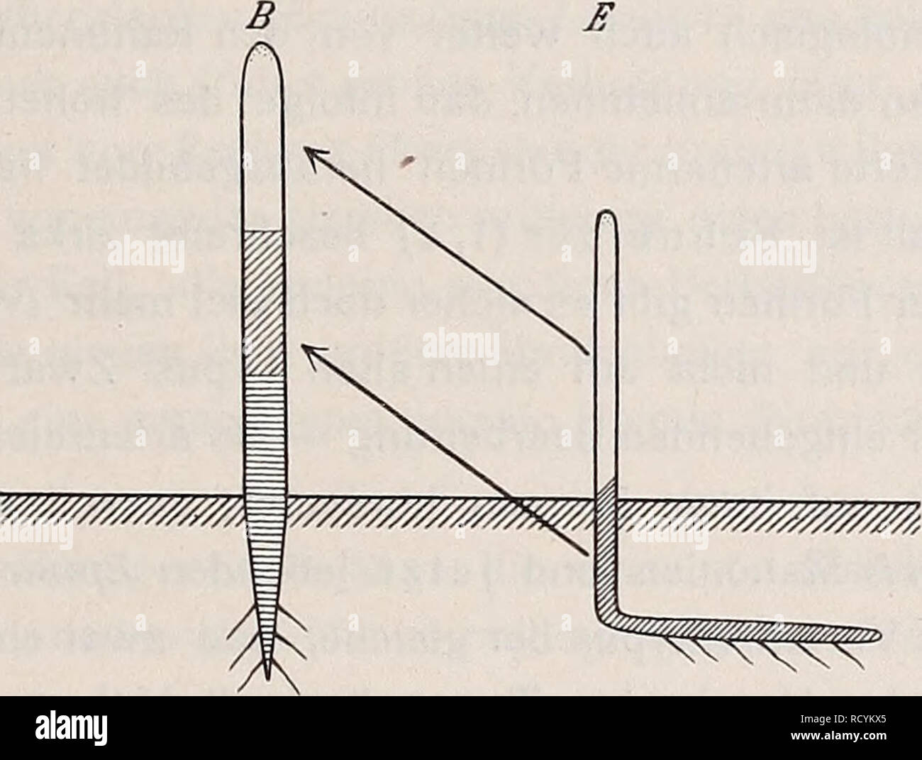Riss system hi-res stock photography and images - Alamy