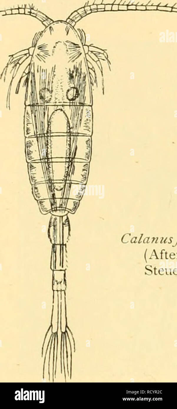 . The depths of the ocean : a general account of the modern science of ...