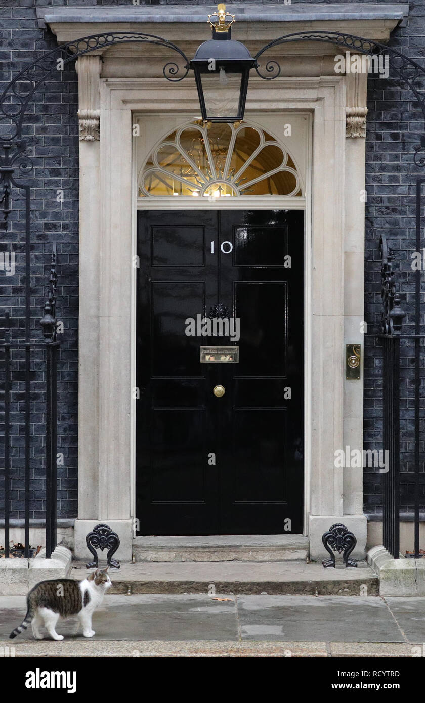 Larry the cat outside 10 downing street hi-res stock photography and ...