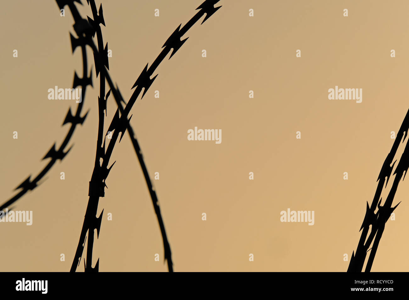 Wall barbed wire sunset hi-res stock photography and images - Alamy