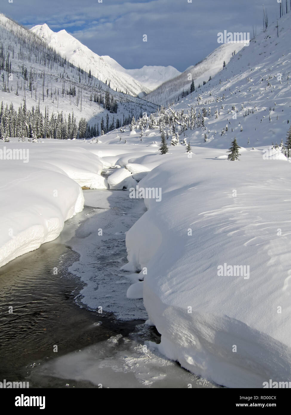 Winter landscape with mountains, river and trees, Purcell Mountains ...