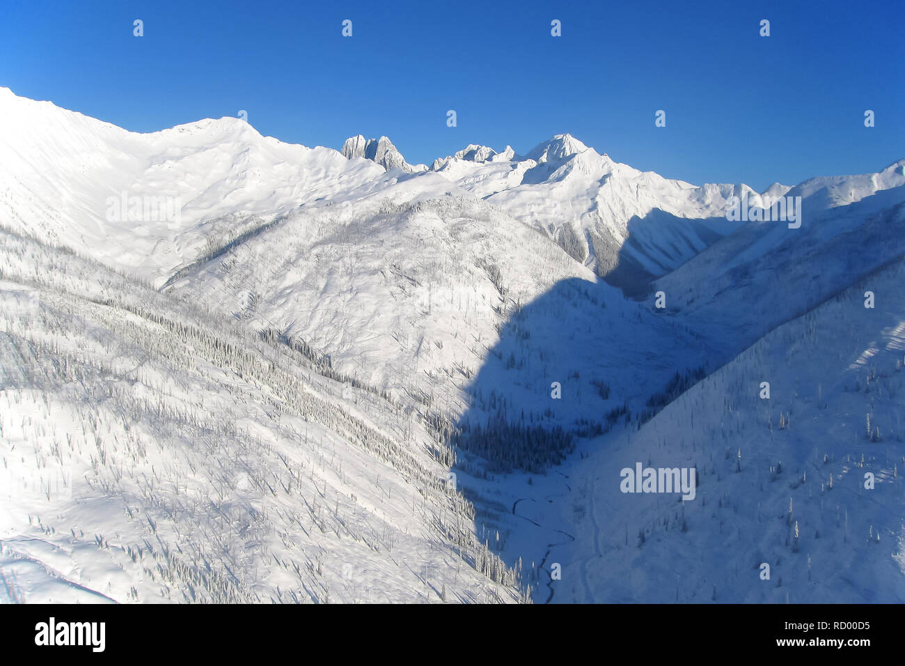 Winter landscape with mountains and trees in The Bugaboos, Purcell ...