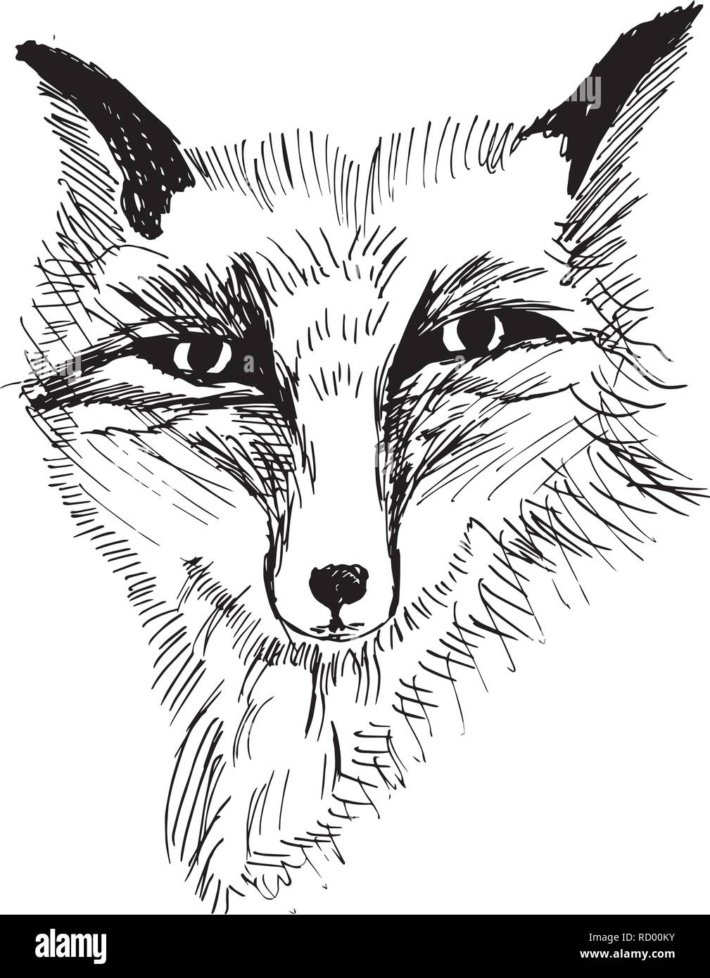 Illustration of a fox portrait in hatching style Stock Vector Image ...