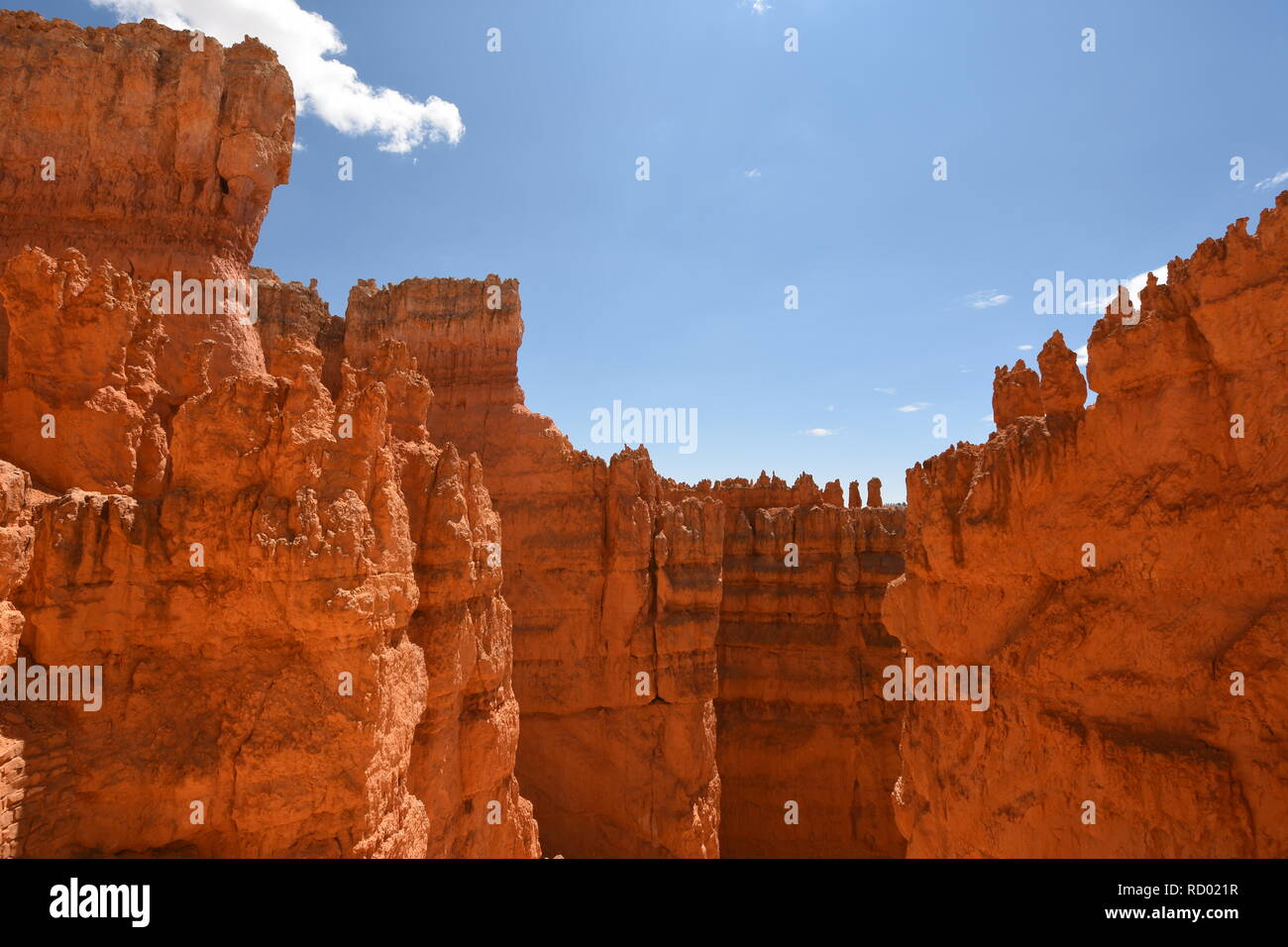landscape on the bryce canyon in the united states of america Stock ...