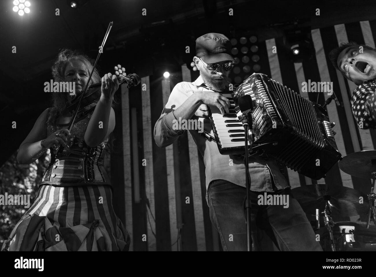 Three daft monkeys on stage with Roy Harter at The Bearded Theory ...