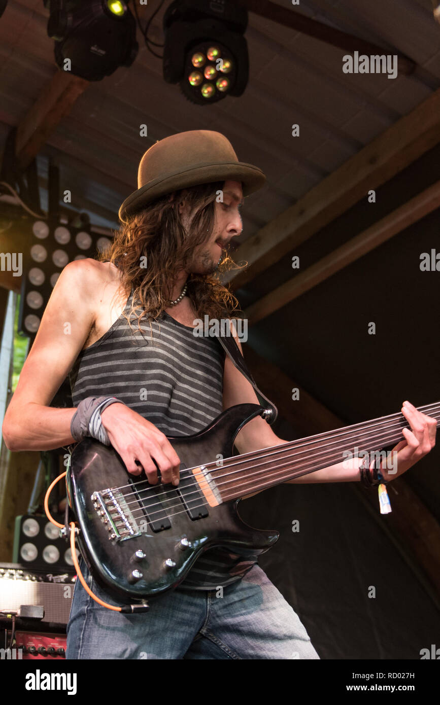 Three daft monkeys on stage with Roy Harter at The Bearded Theory ...