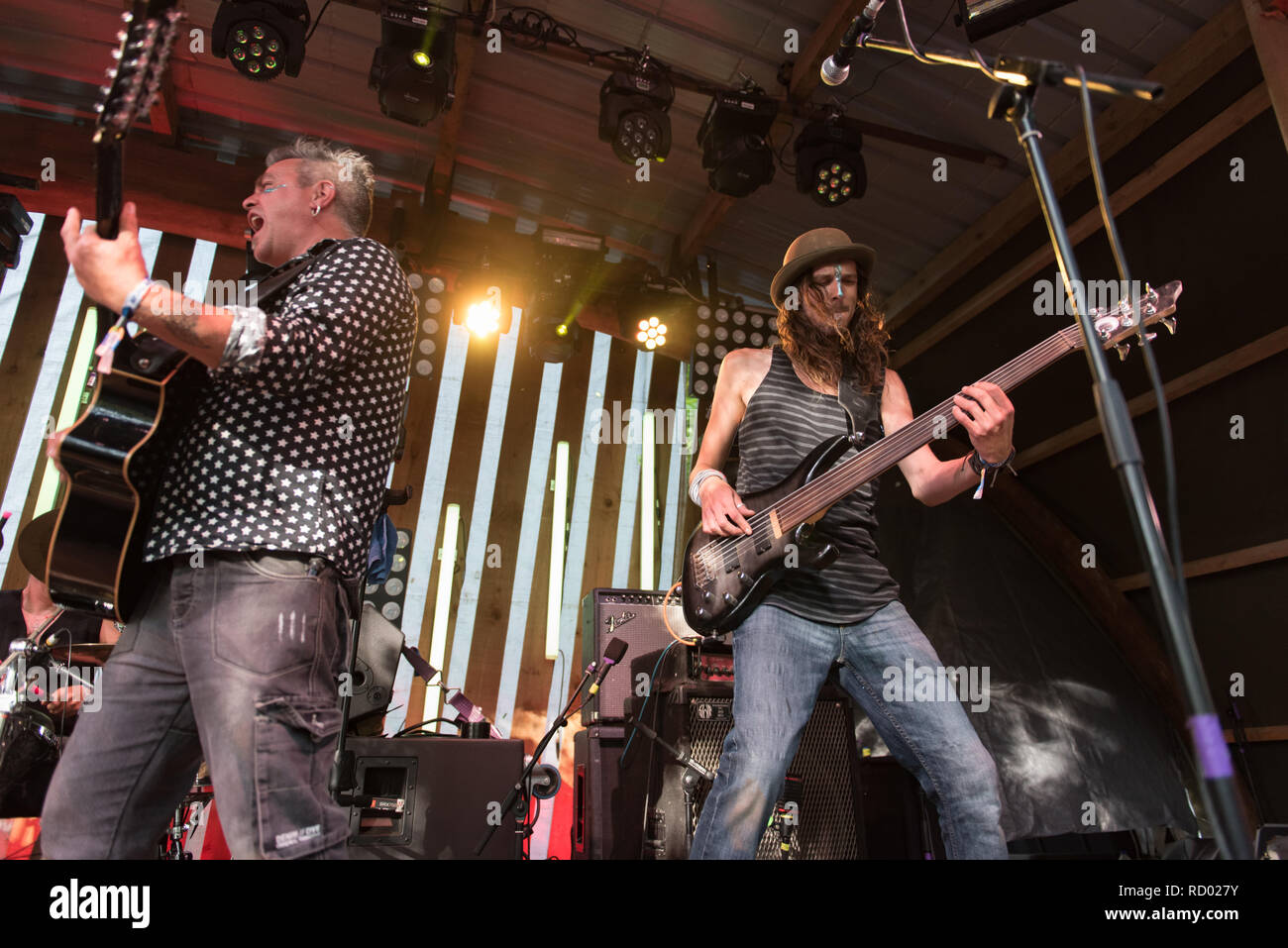 Three daft monkeys on stage with Roy Harter at The Bearded Theory ...