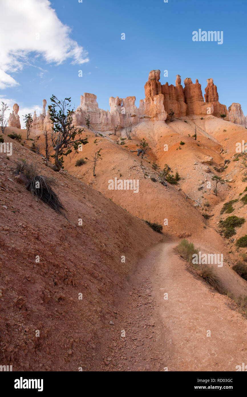 landscape on the bryce canyon in the united states of america Stock ...