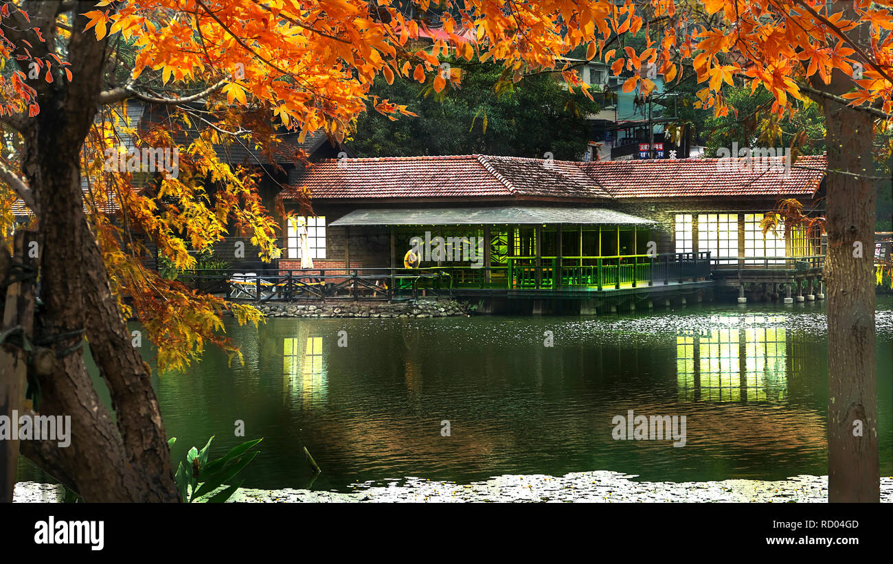 The Autumn lake and forest with nice autumn color, Checheng Station ...