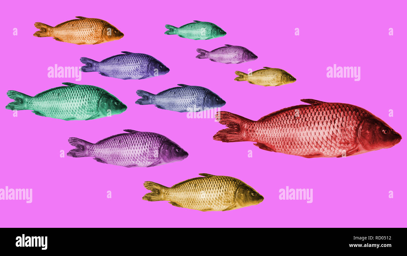 Contemporary art collage. The team holds together, swim in the same ...