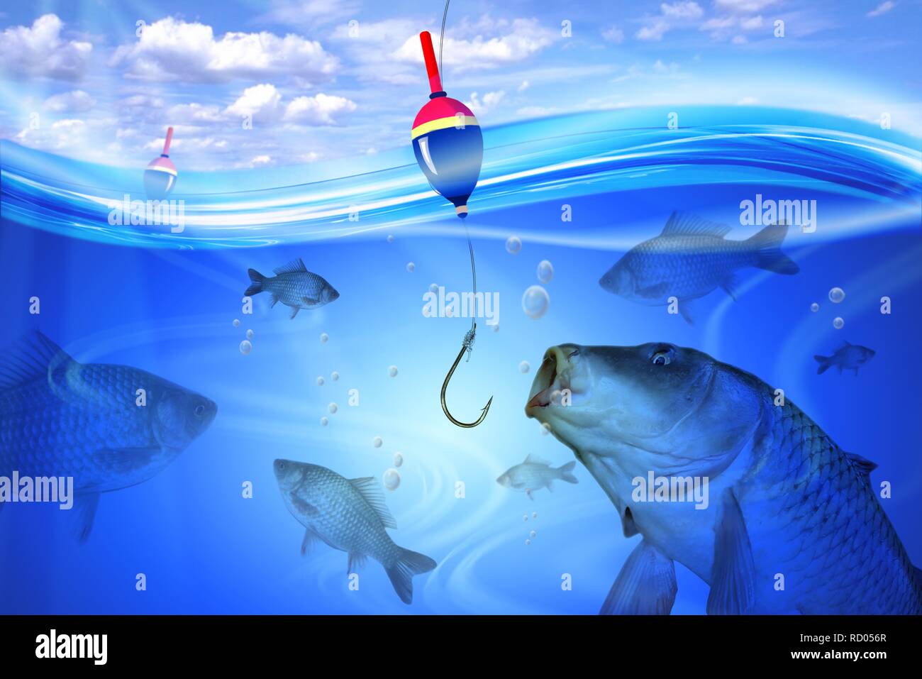 Bobber fish hi-res stock photography and images - Alamy