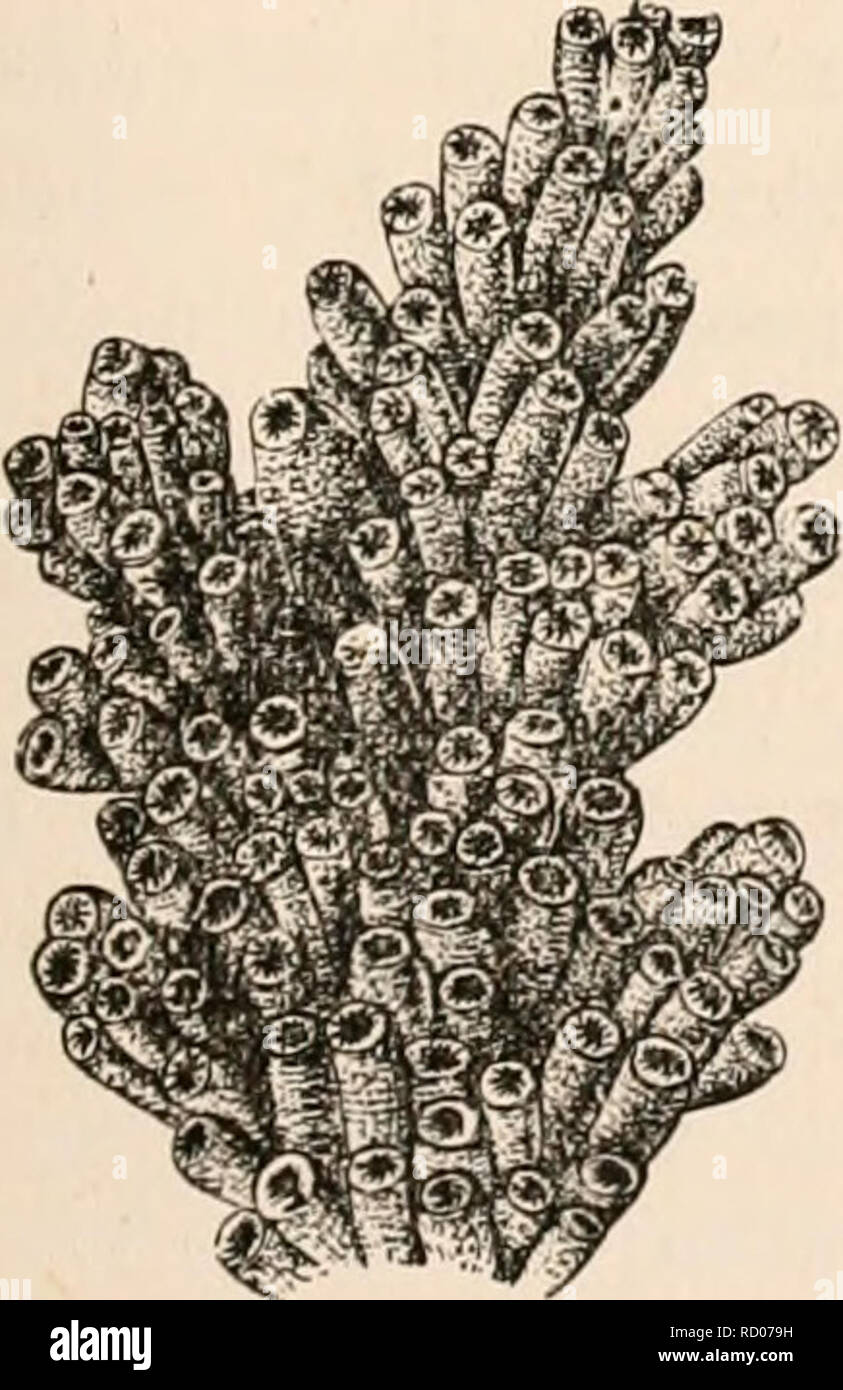 Astroid book hi-res stock photography and images - Alamy