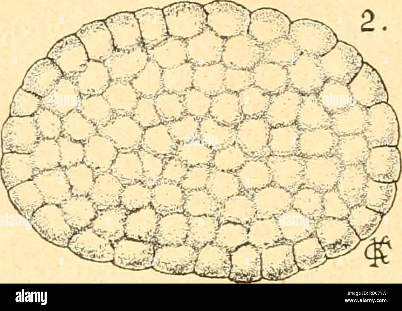 Pocci hi-res stock photography and images - Alamy