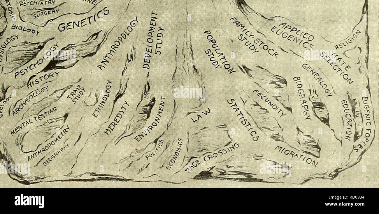 Eugenics tree hi-res stock photography and images - Alamy