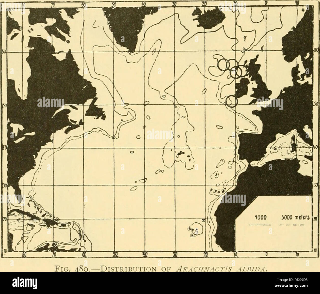 . The depths of the ocean : a general account of the modern science of ...