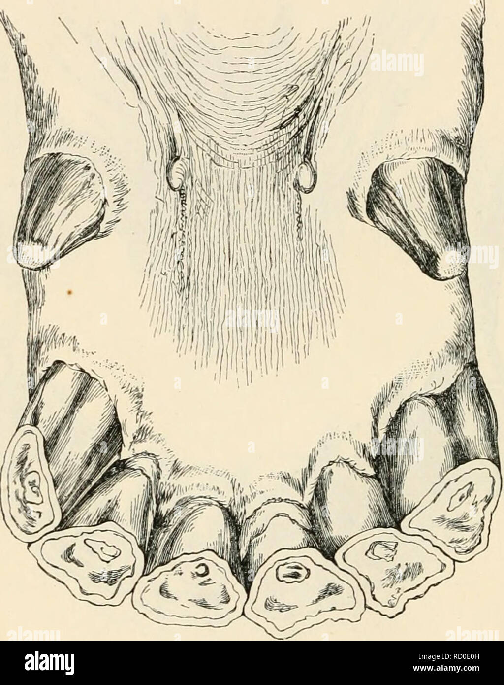 Receding width hi-res stock photography and images - Alamy