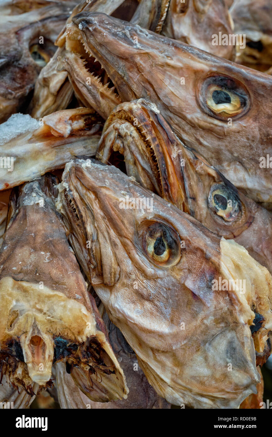 Cod fish head hi-res stock photography and images - Alamy