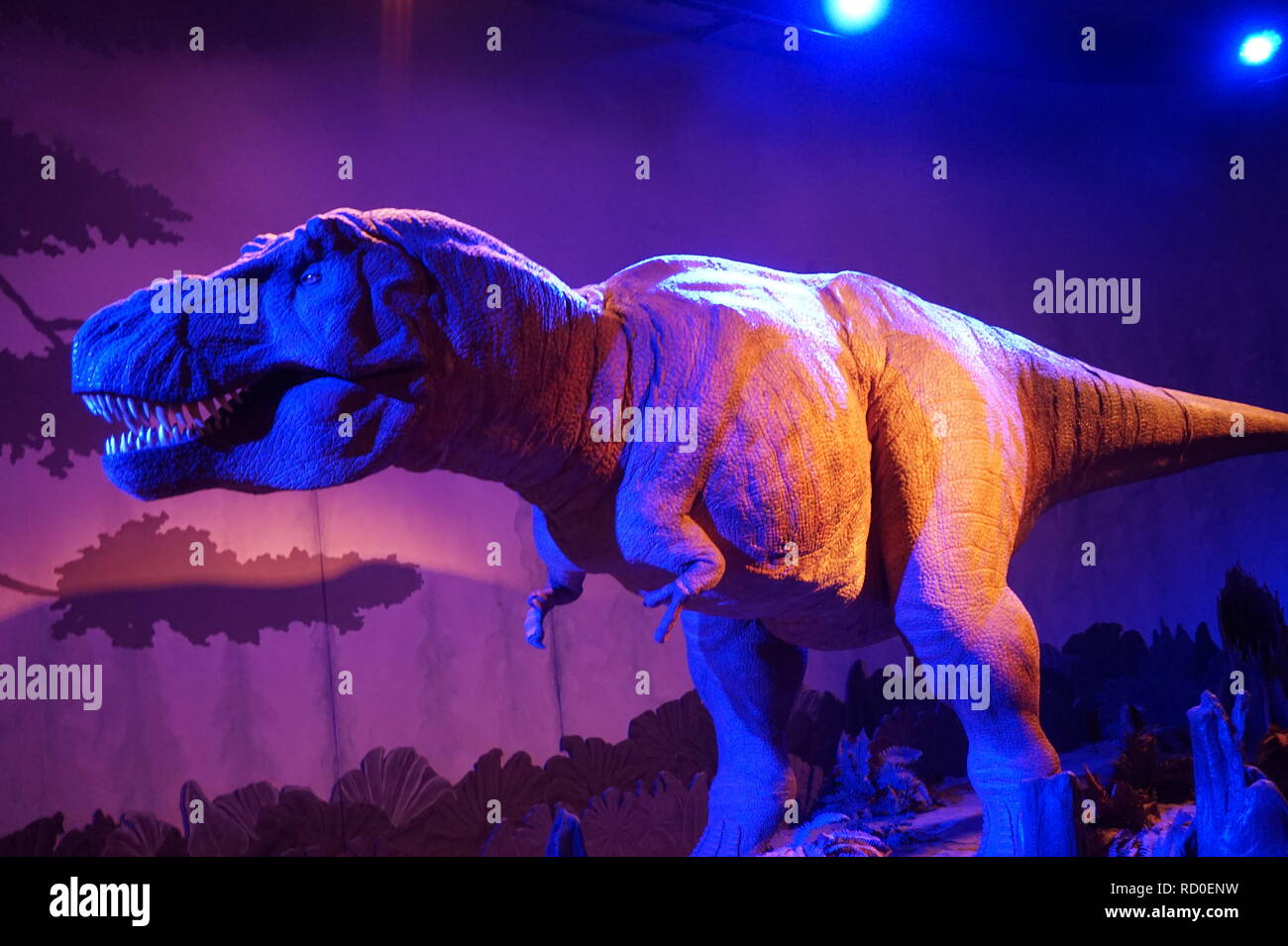 Tyrannosaurus rex in the dinosaurs gallery at the Natural History ...