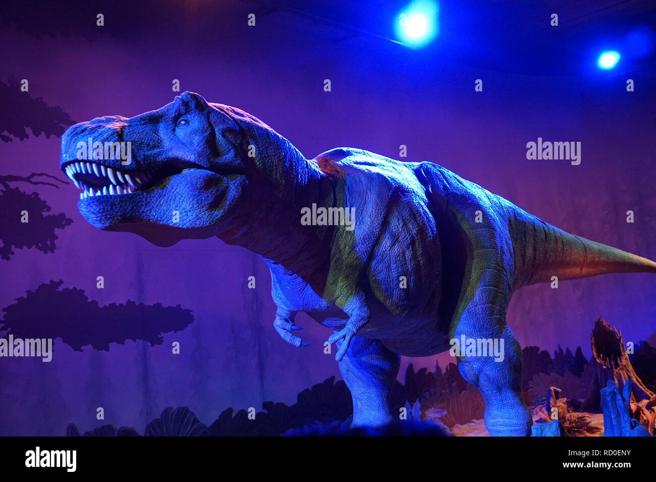 Tyrannosaurus rex in the dinosaurs gallery at the Natural History ...