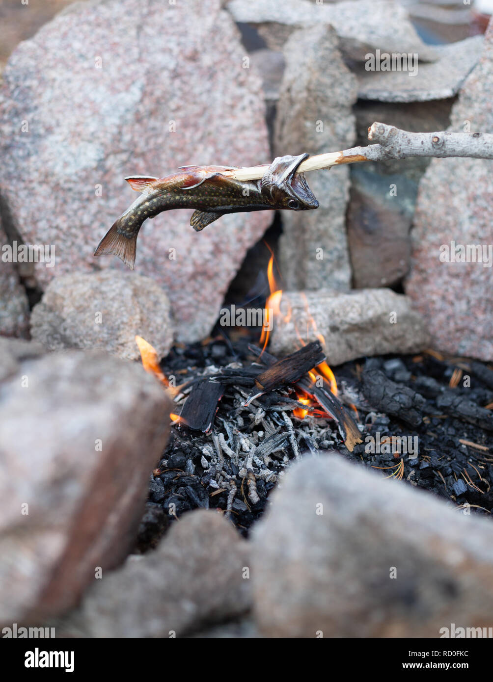 Dead campfire hi-res stock photography and images - Alamy
