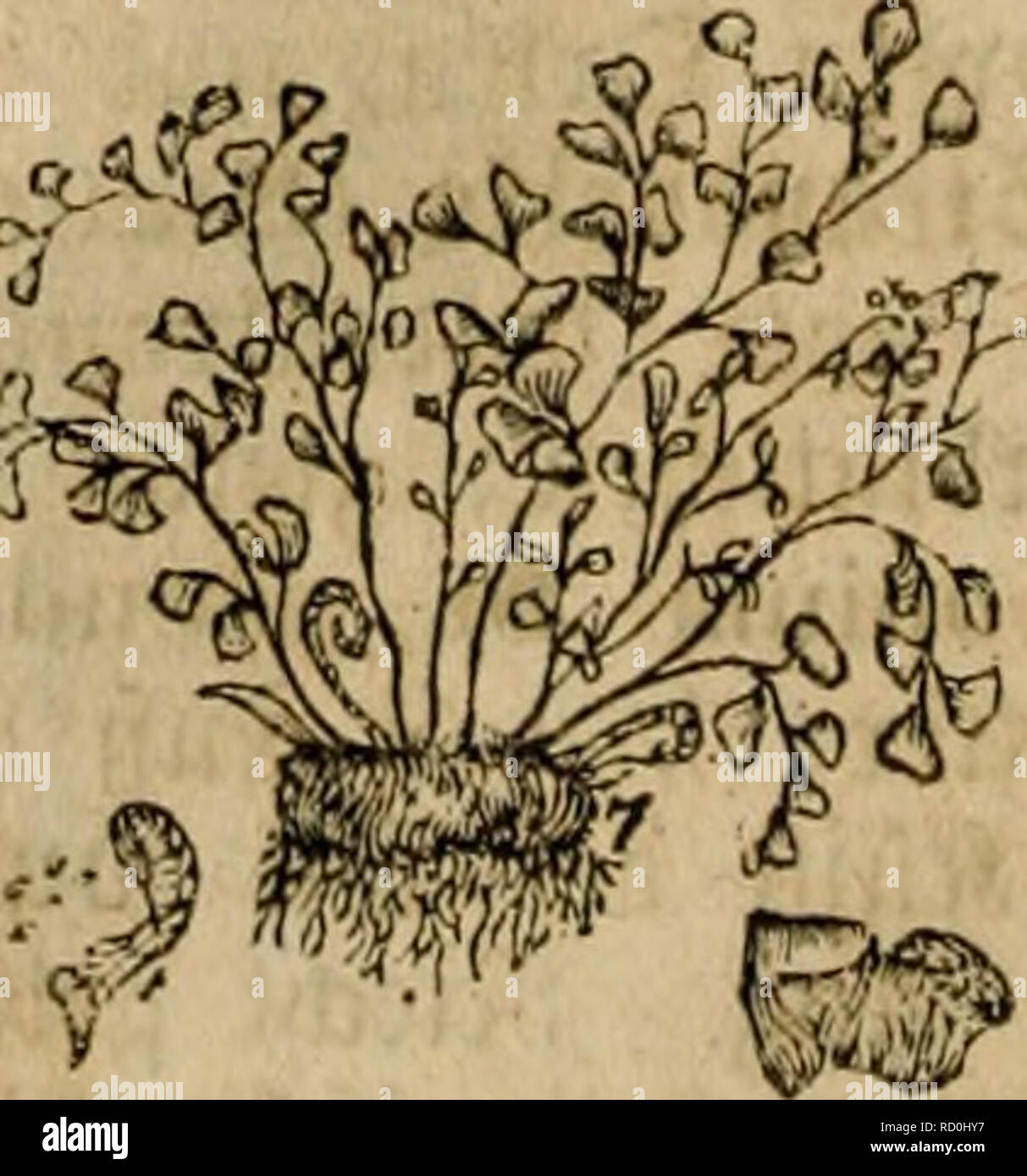 Laboria hi-res stock photography and images - Alamy