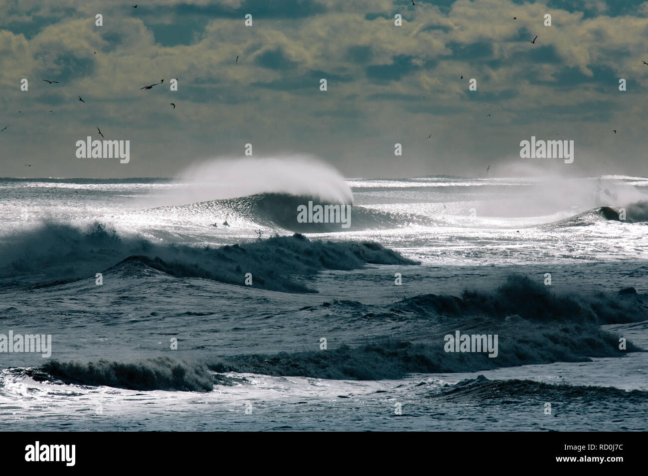 New jersey surfer hi-res stock photography and images - Alamy