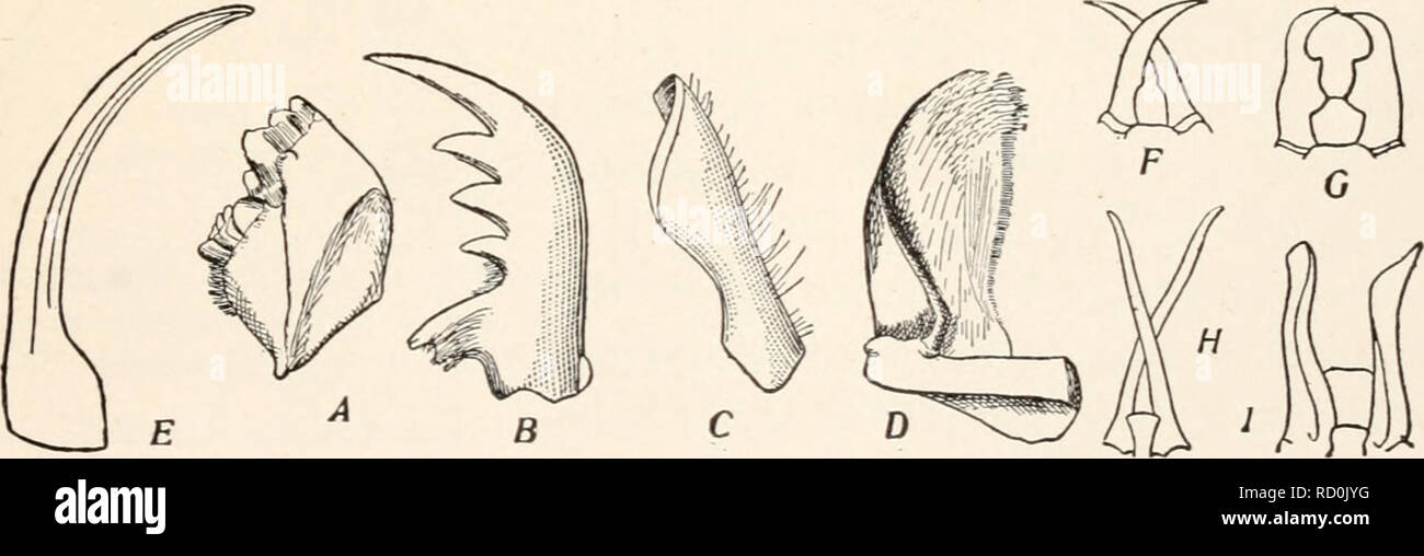 . Elementary entomology. Insects. FIG. 12. Various forms of mandibles A ...