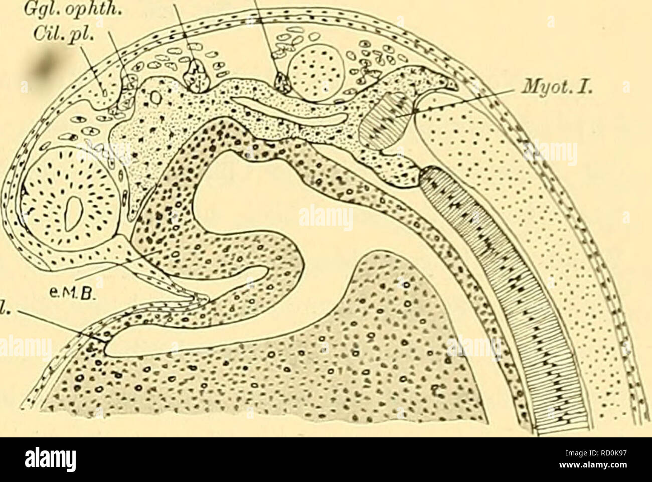 Metamere hi-res stock photography and images - Alamy