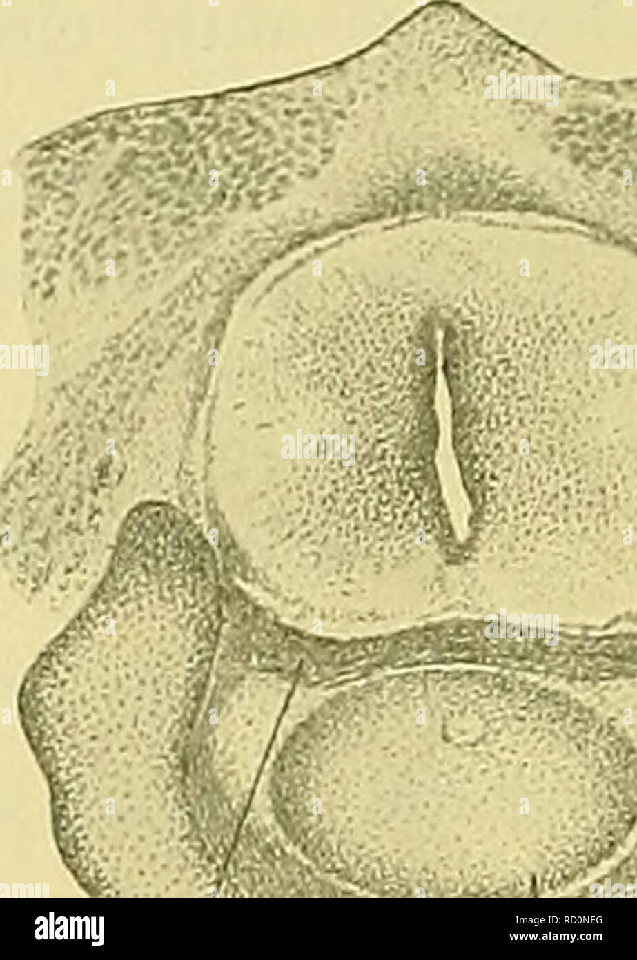 Interart hi-res stock photography and images - Alamy