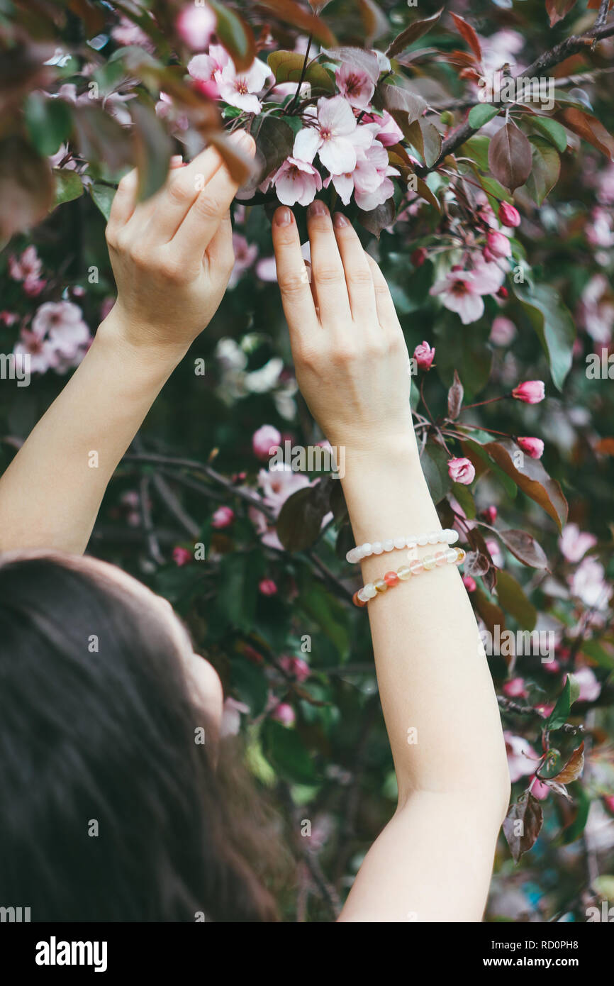 Beautiful woman touch sakura flowers hi-res stock photography and ...