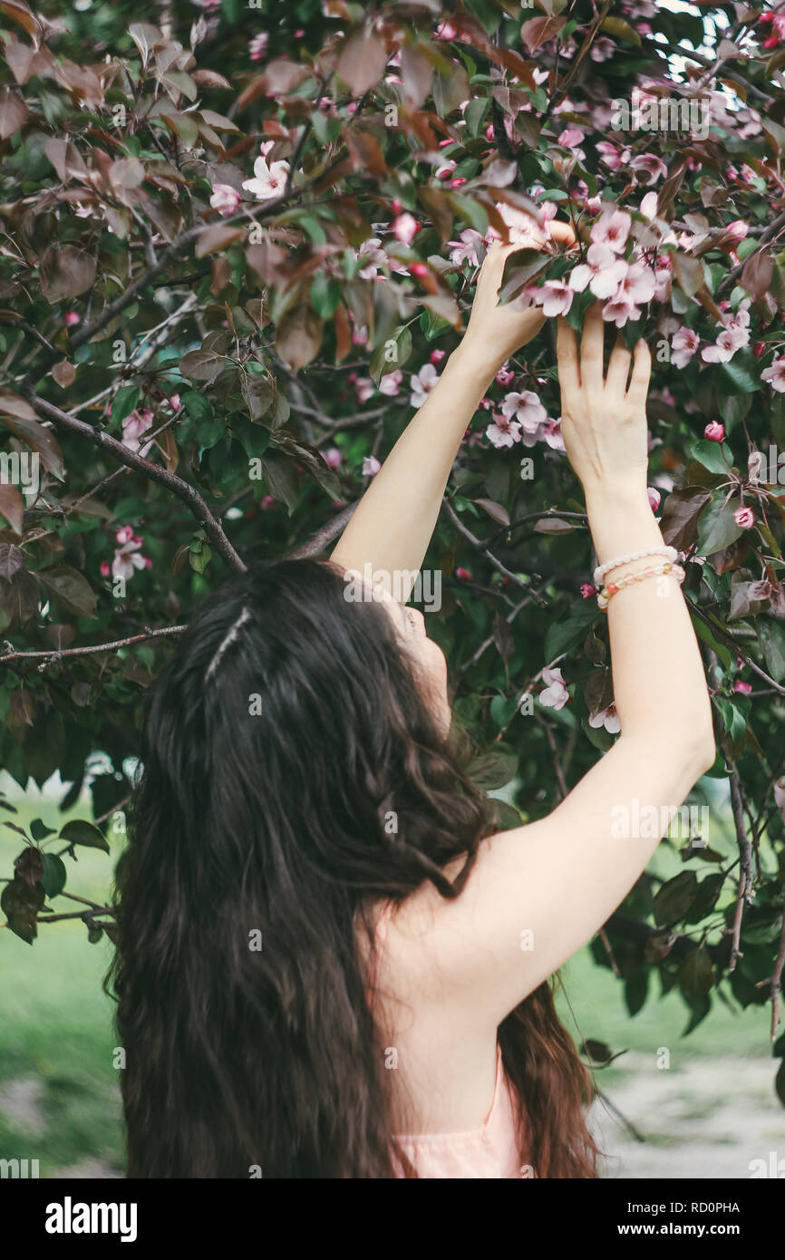 The young woman girl raises her hand to pluck blossoms, spring bloom ...