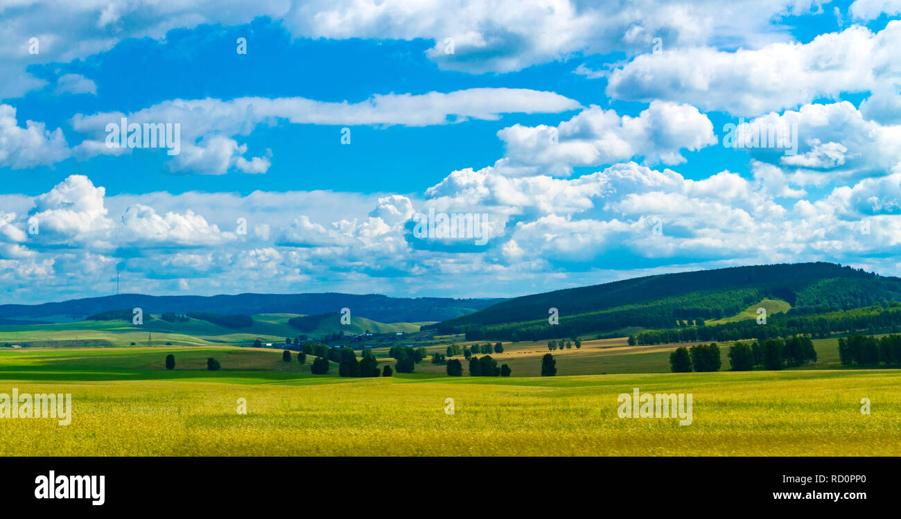 Russia landscape summer field hi-res stock photography and images - Alamy