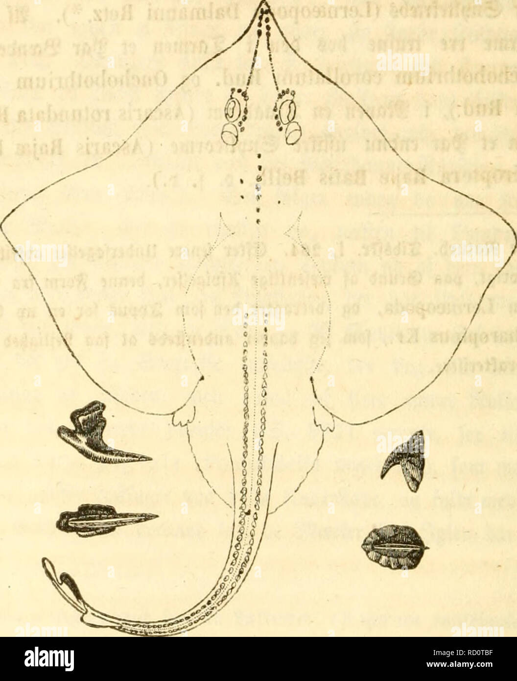 Rfc sif hi-res stock photography and images - Alamy