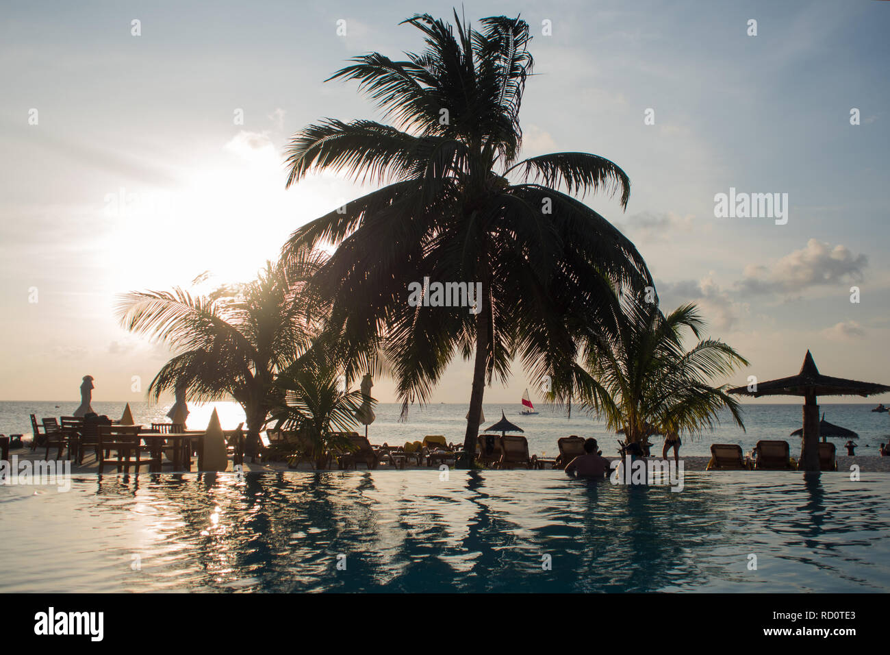 Blue water in the swimming pool and fluffy palm trees. sunset on Luxury ...