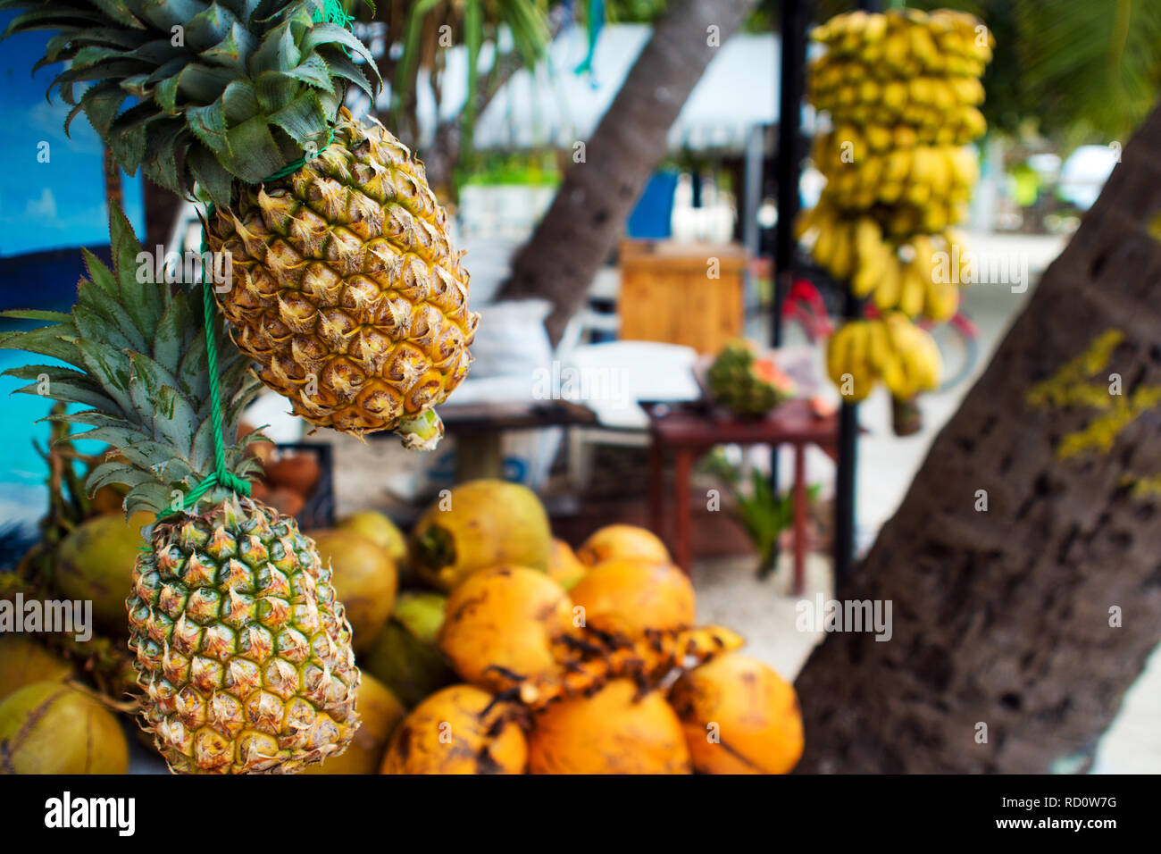 Fruit shop on a maldivian island, outdoor. Fresh pineapple and another ...