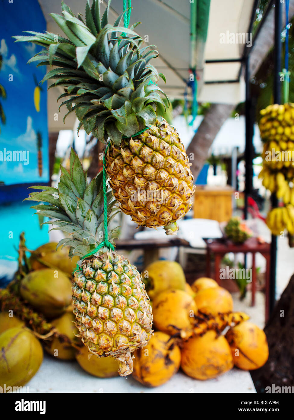 Fruit shop on a maldivian island, outdoor. Fresh pineapple and another ...