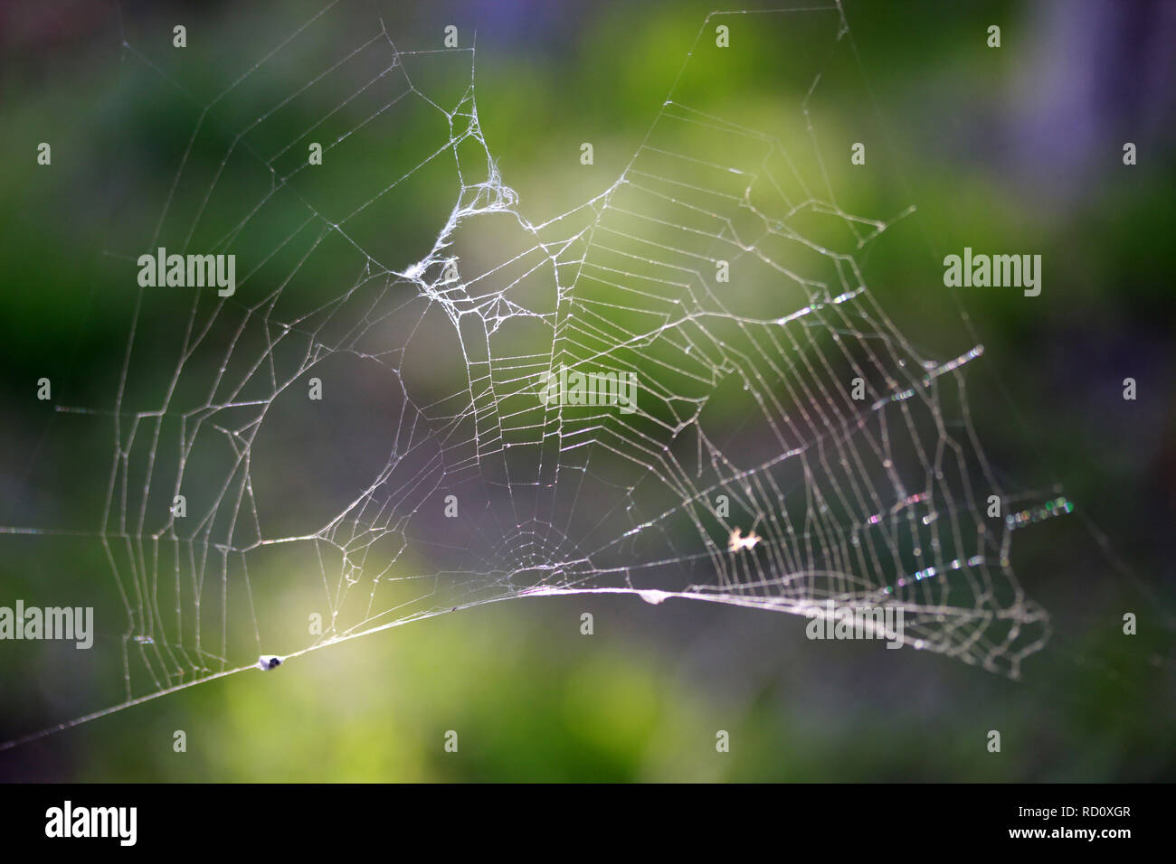 abstract spider web background Stock Photo - Alamy