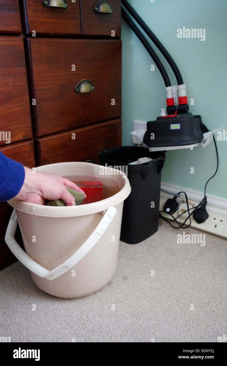 External Power Filters For Aquariums