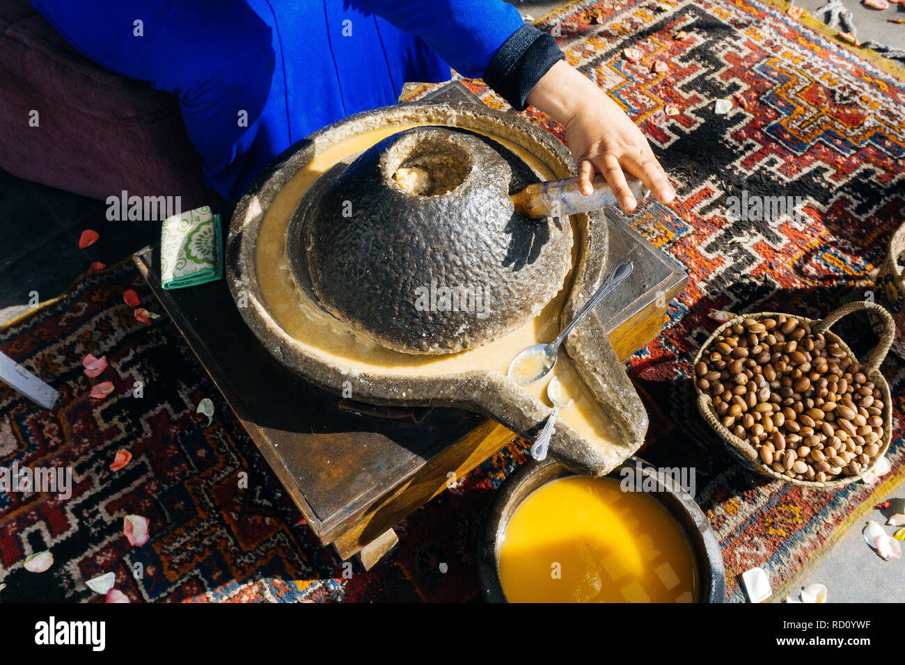 ARGAN OIL. Making of argan oil from argan nuts and seeds in Morocco ...