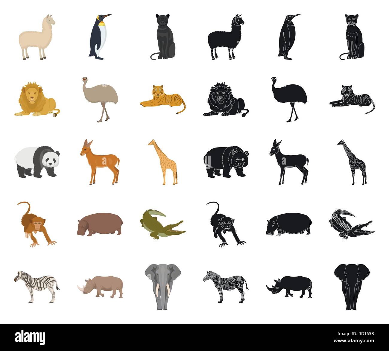 Artiodactyla Animals