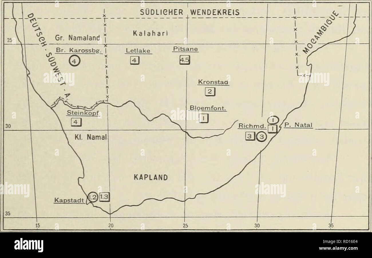 Centropagidae hi-res stock photography and images - Alamy