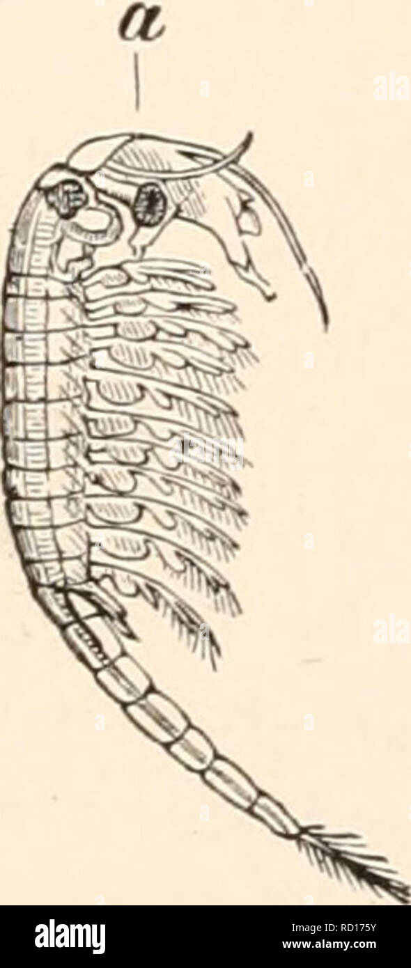 . Darwinism; an exposition of the theory of natural selection, with ...