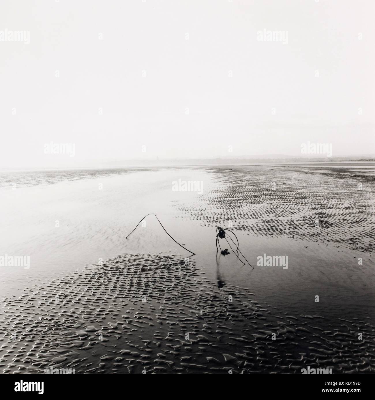 Fay fife hi-res stock photography and images - Alamy