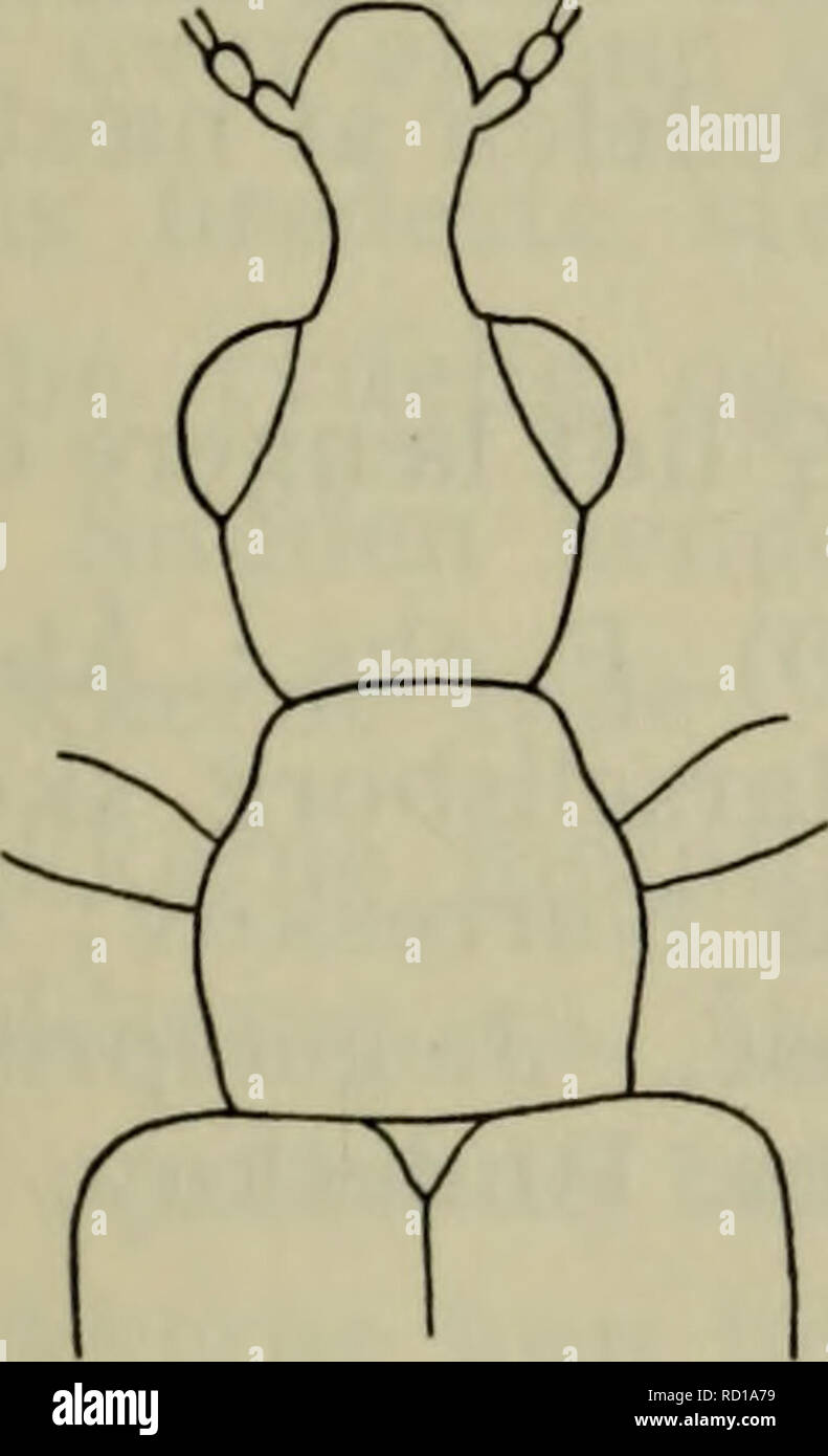 Jexen hi-res stock photography and images - Alamy