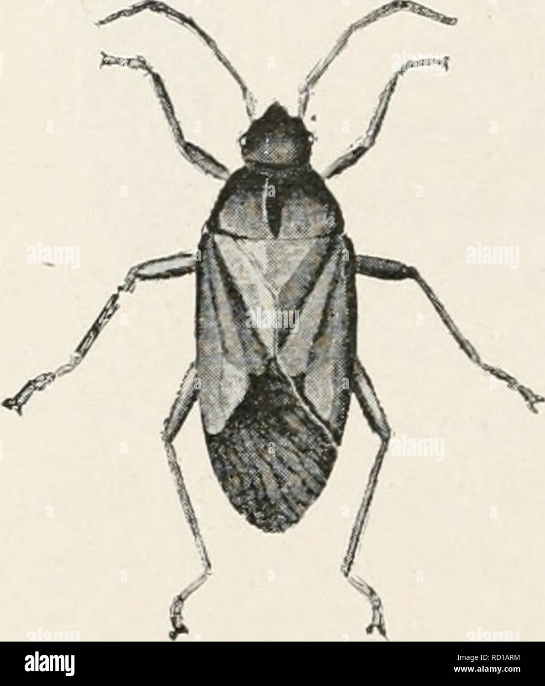 Living in giant box hi-res stock photography and images - Alamy